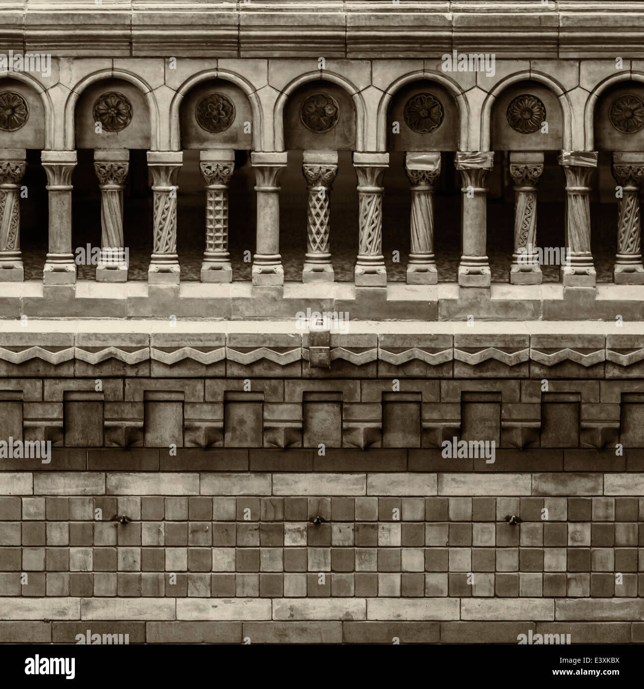 Inside Natural History Museum Stock Photo - Alamy