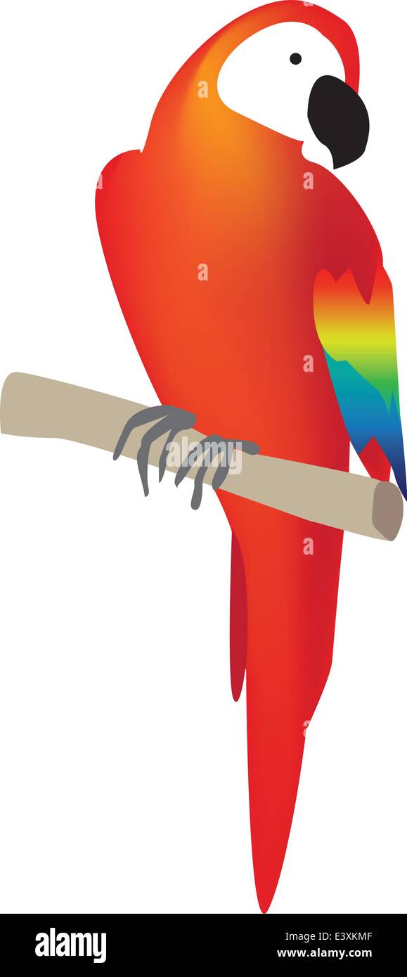 colour vector illustration on white background Stock Vector Image & Art ...