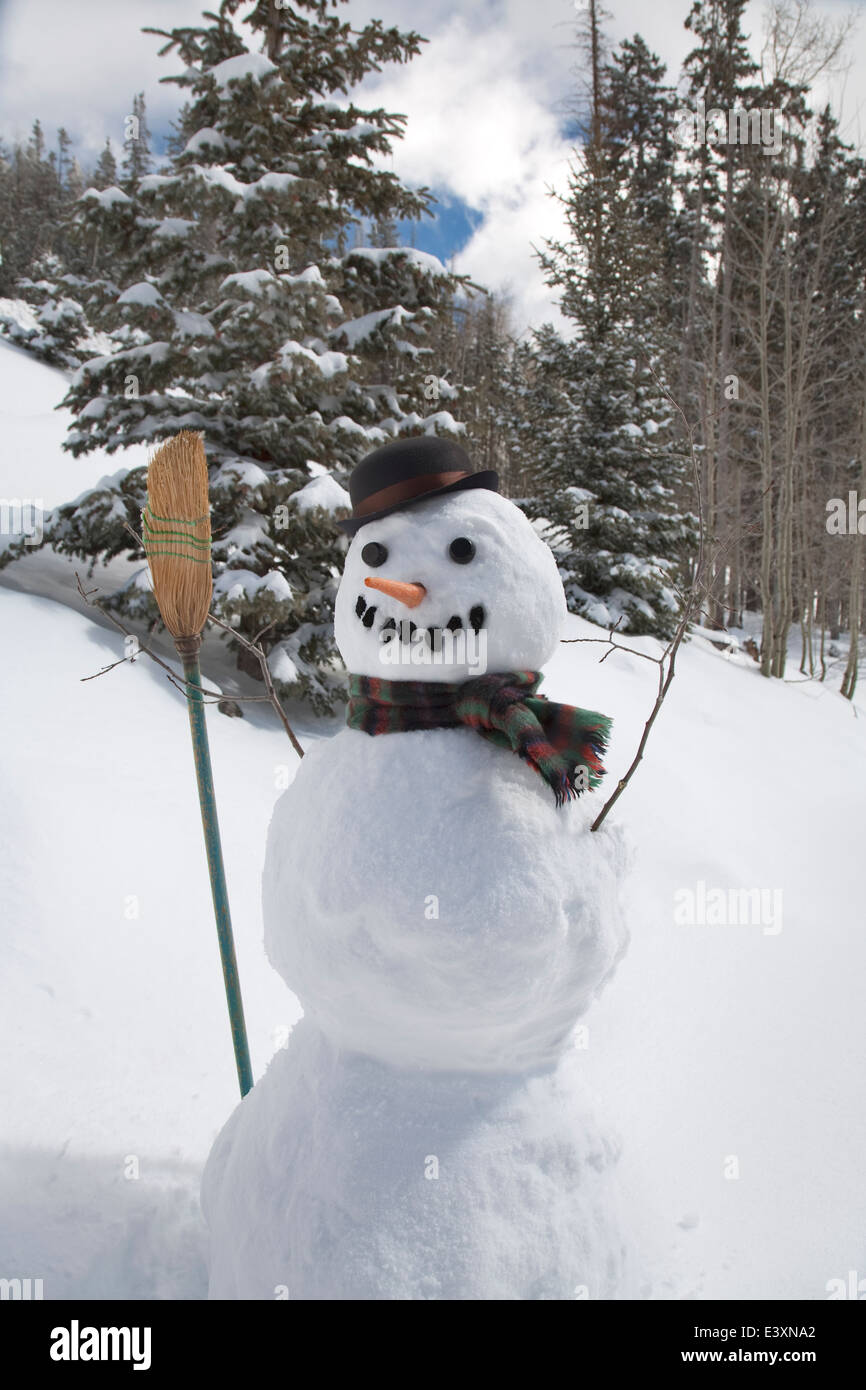 Snowman in rural forest Stock Photo - Alamy