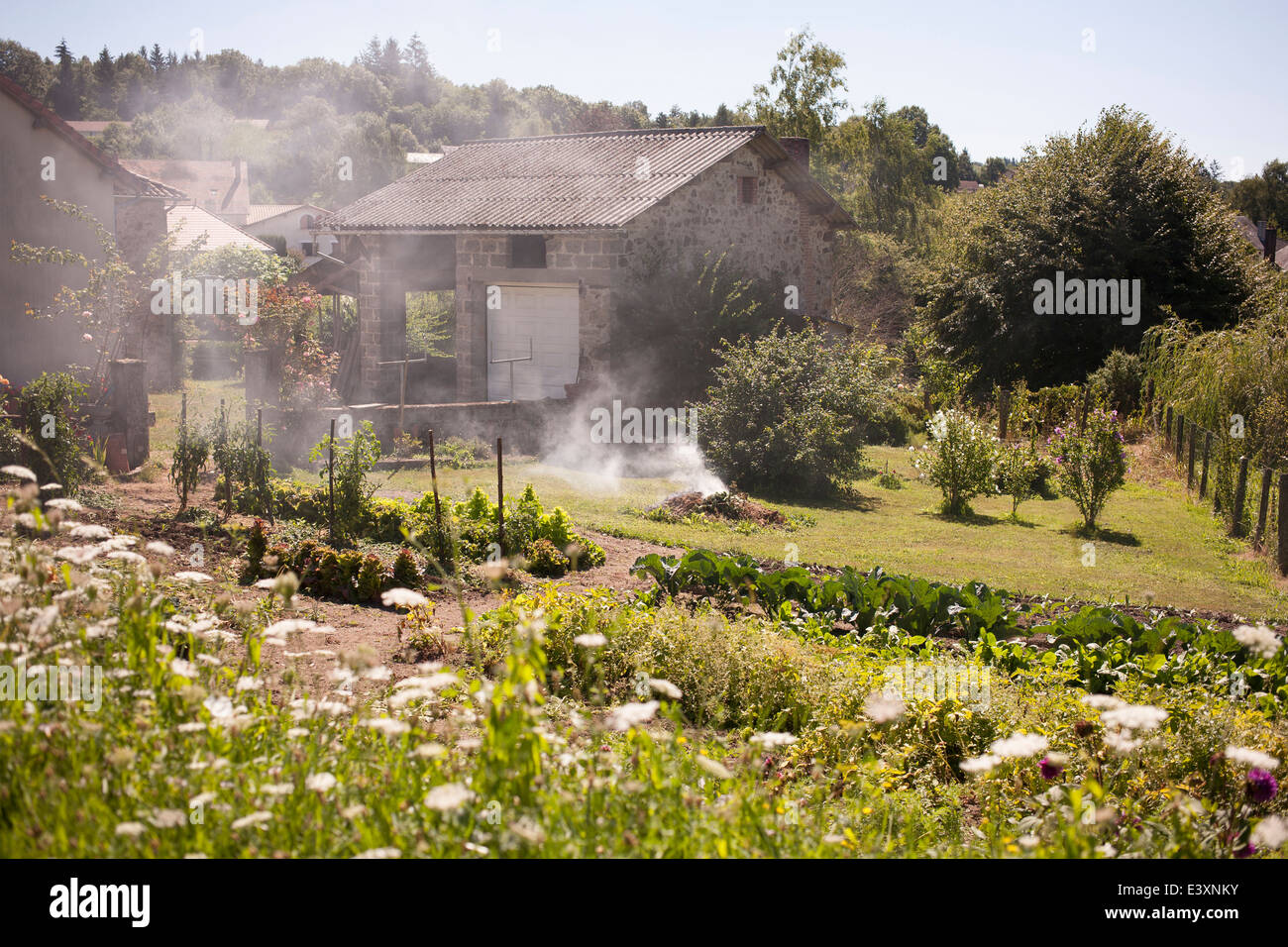 Bonfire in summer in rural garden in Dordogne, France, with wildflowers ...