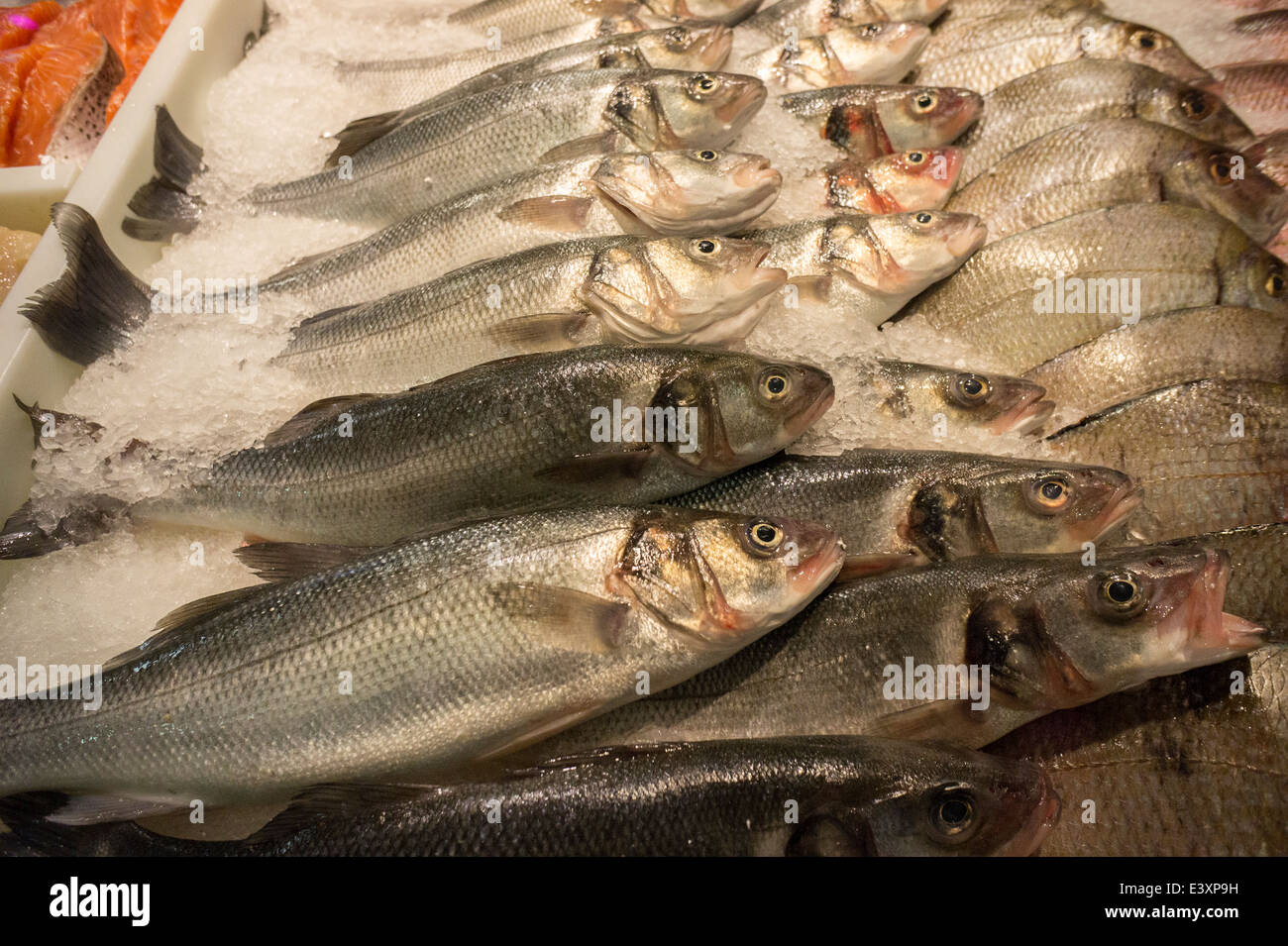 Porgies High Resolution Stock Photography and Images - Alamy
