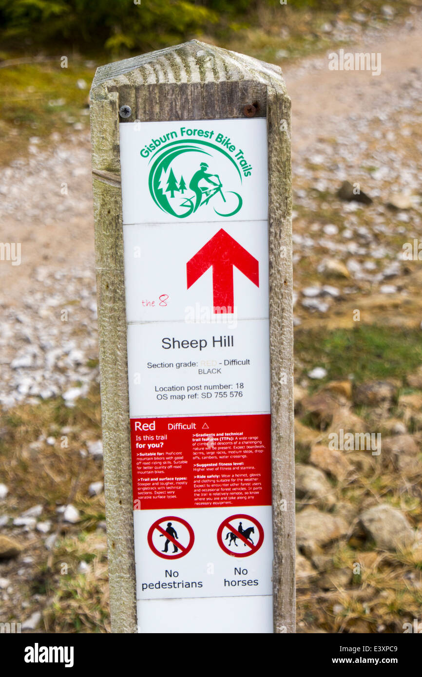 Off road mountain bike tracks in Gisburn forest at Tosside, Lancashire ...