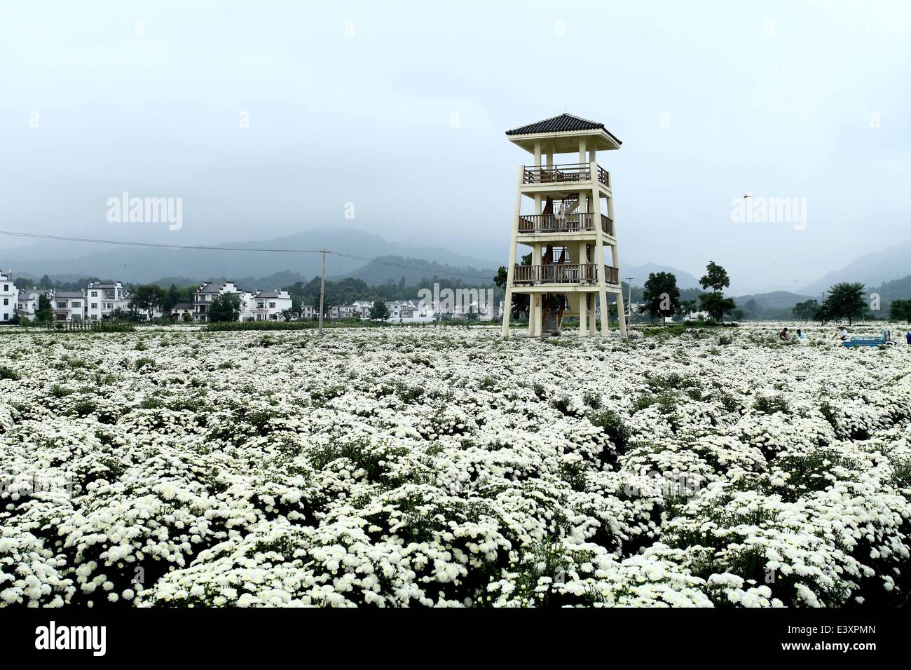 Ce contributed hi-res stock photography and images - Alamy