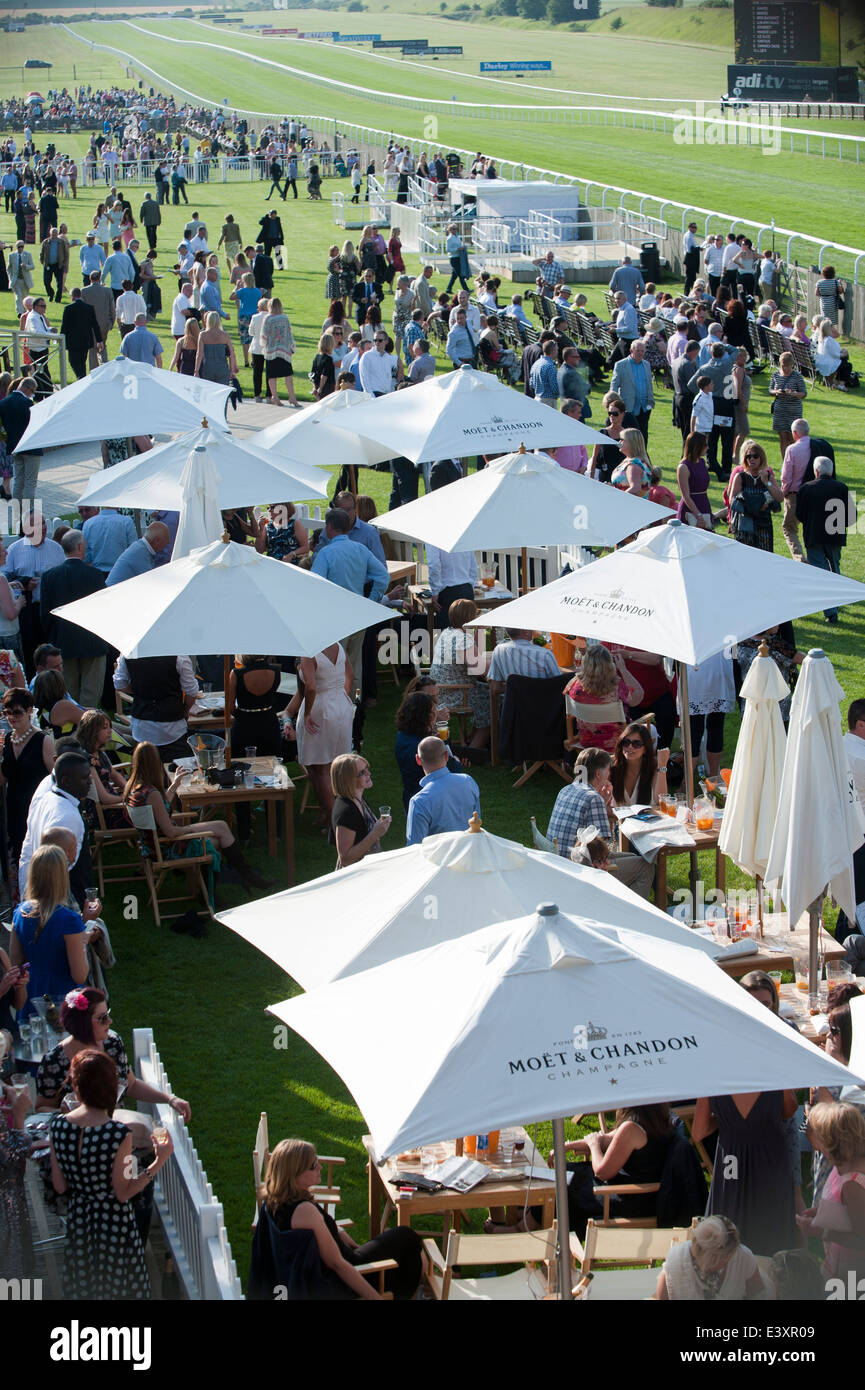 Mark Westley Photography Newmarket July Course in the summer Stock ...