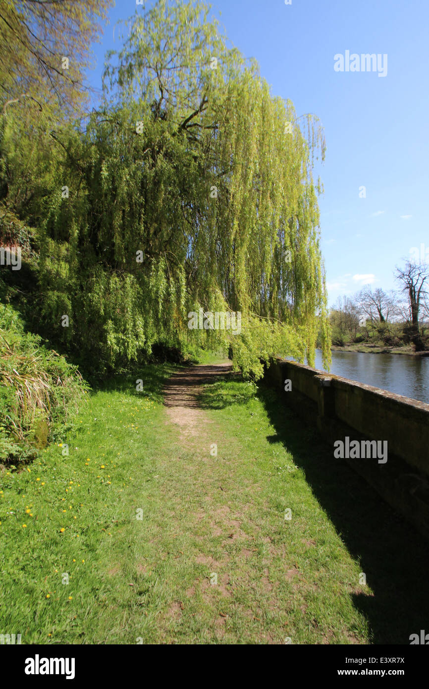 The Weir Garden Stock Photo - Alamy