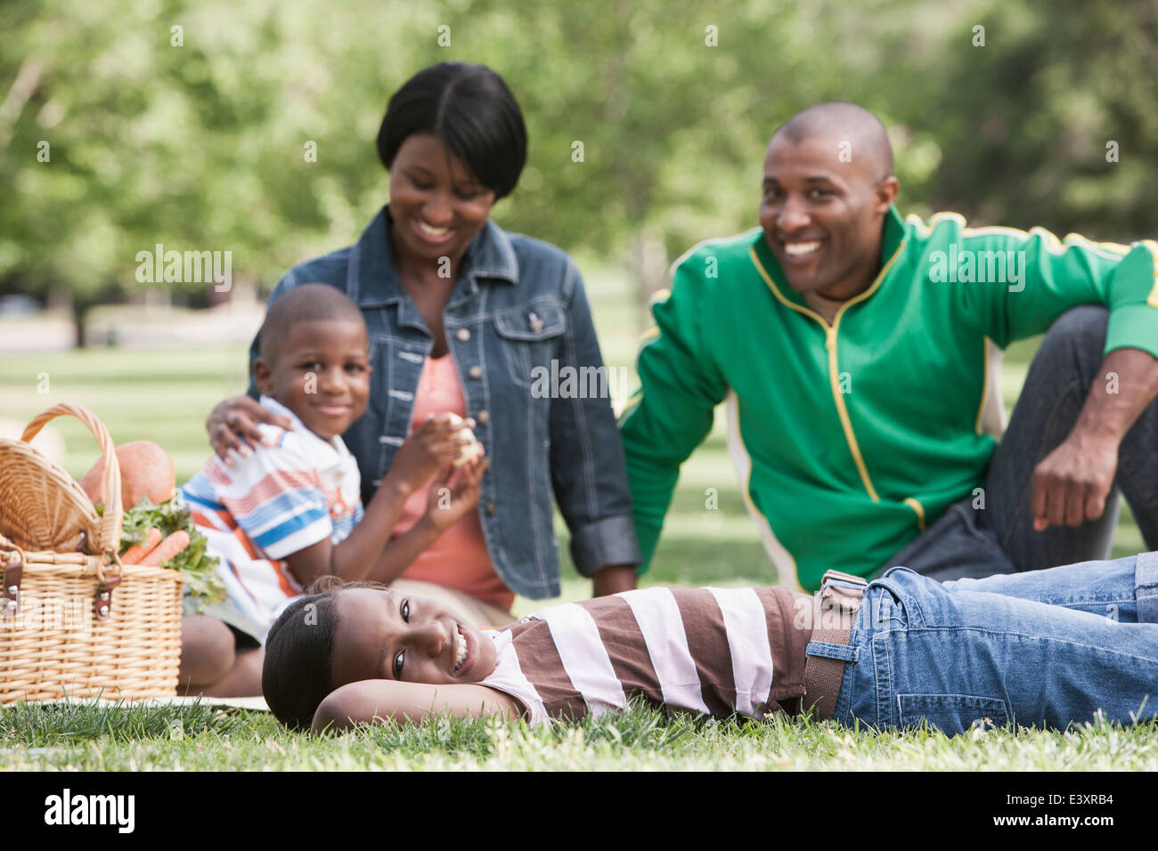 African American family having picnic in park Stock Photo - Alamy
