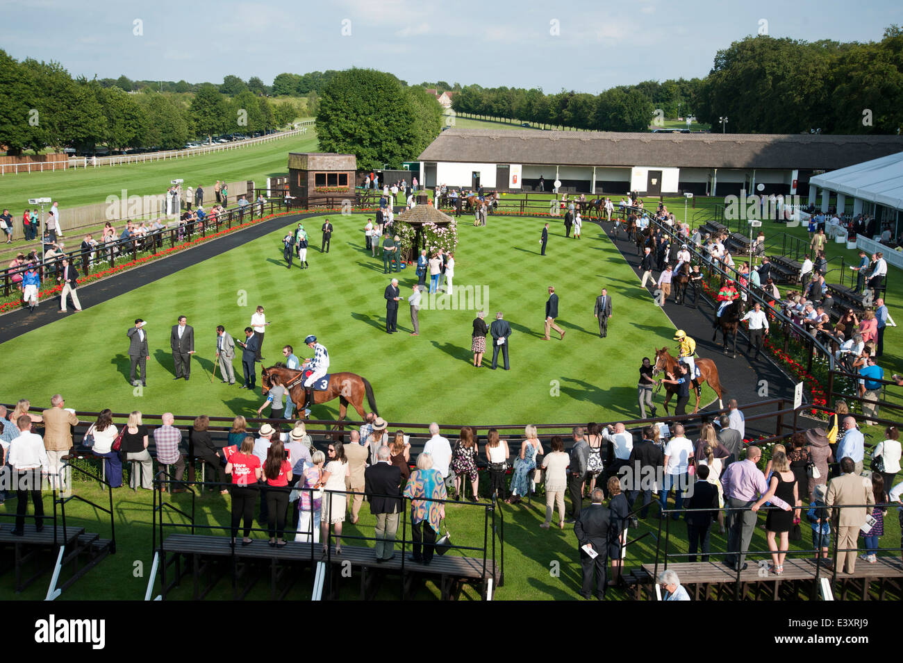 Mark Westley Photography Newmarket July Course in the summer Stock ...