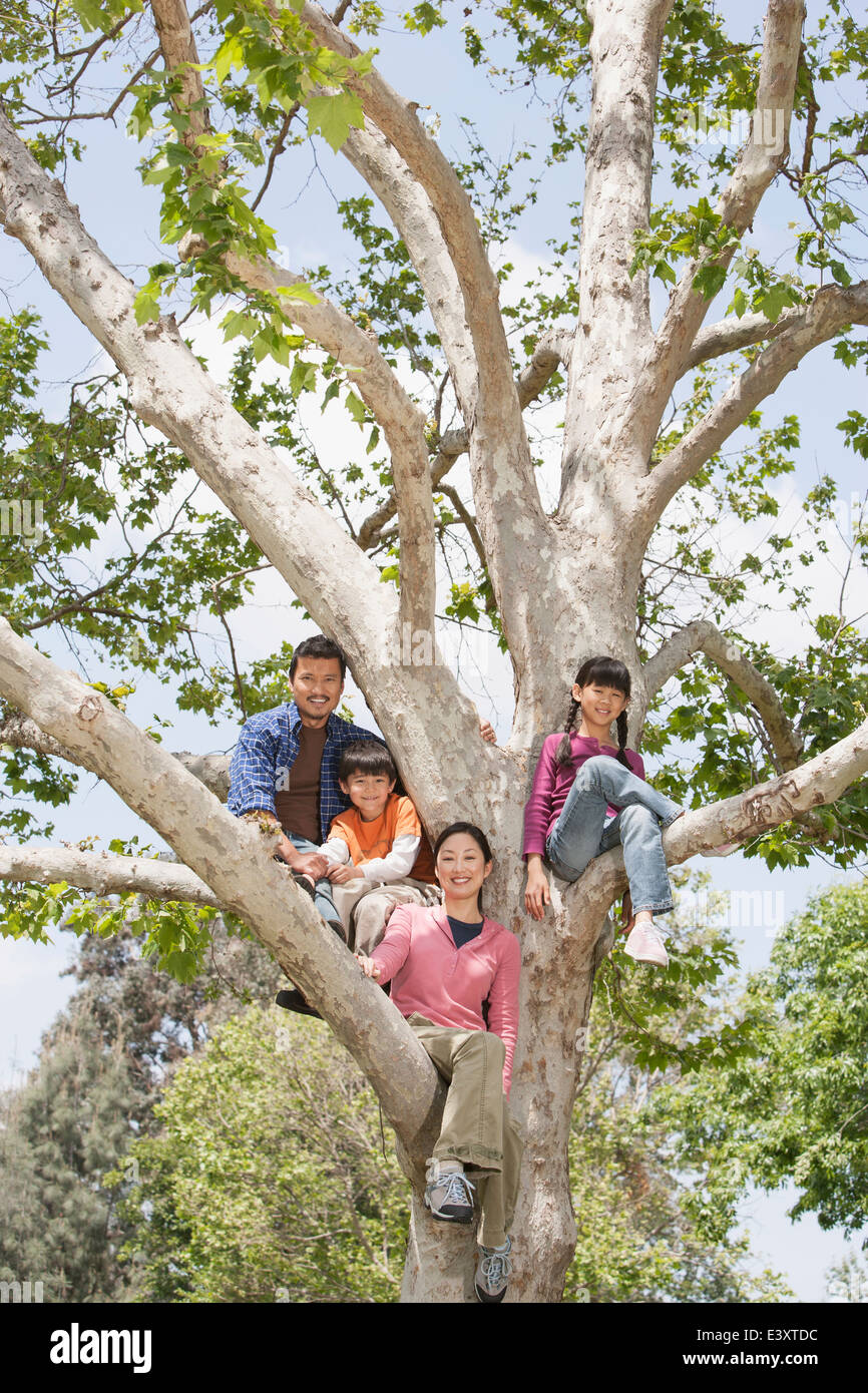 Family climbing tree together Stock Photo - Alamy
