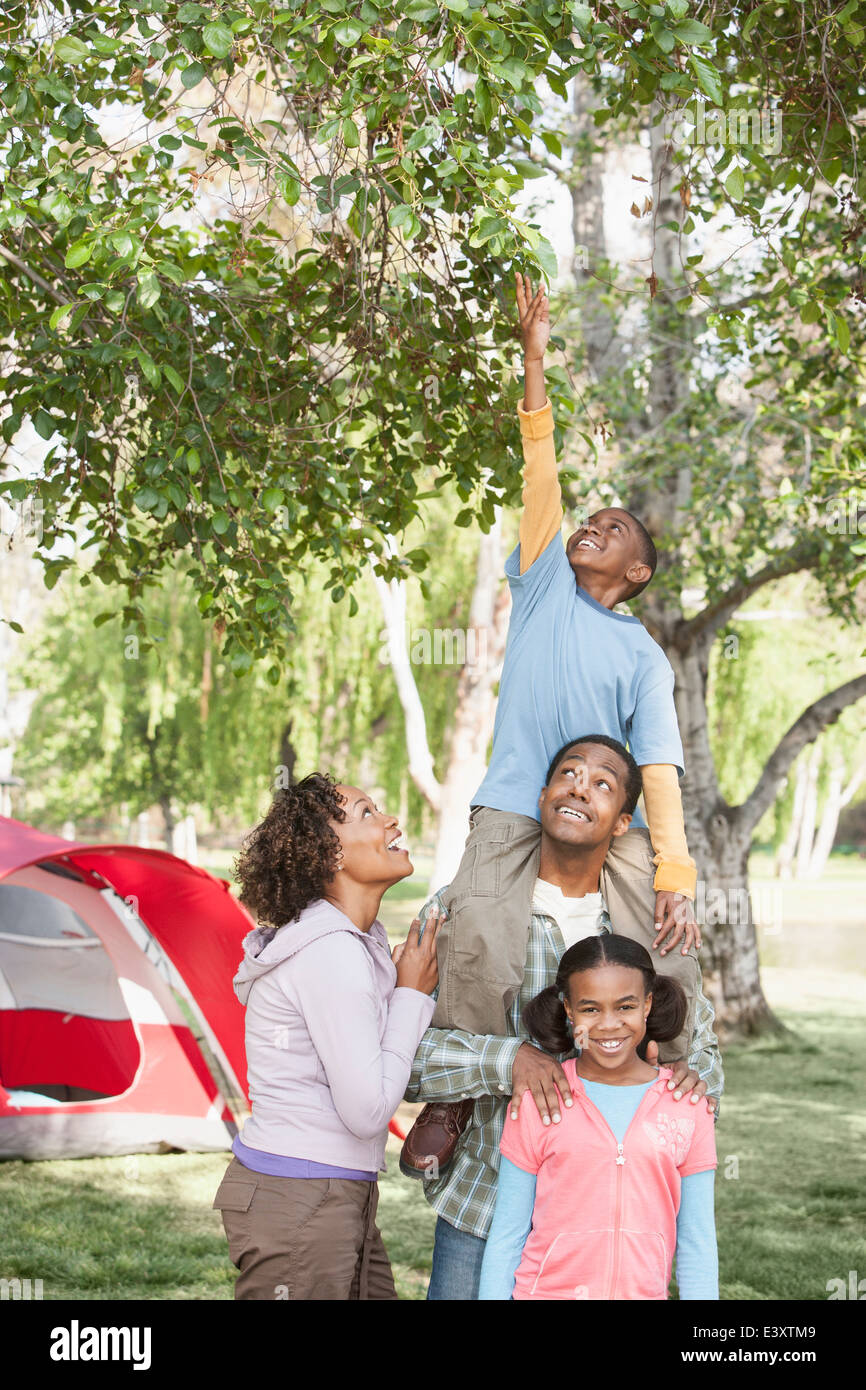 People reaching fruit on tree hi-res stock photography and images - Alamy
