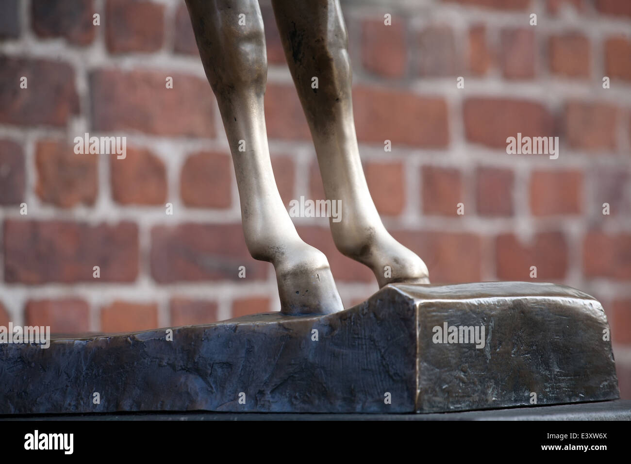 closeup donkey legs of The Bremen Musicians statue Stock Photo - Alamy