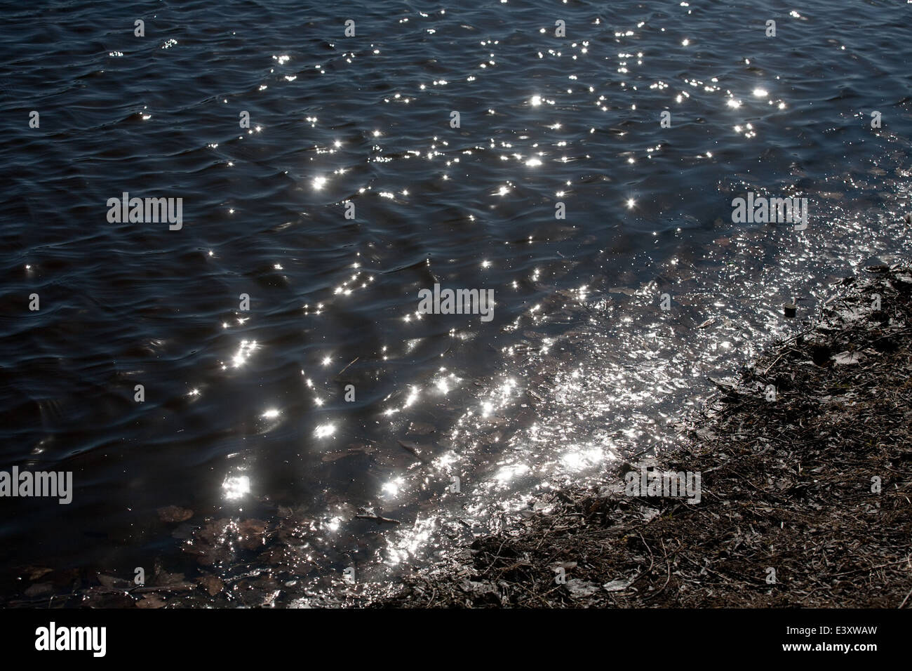 patches of sunlight on water surface and shore closeup Stock Photo - Alamy