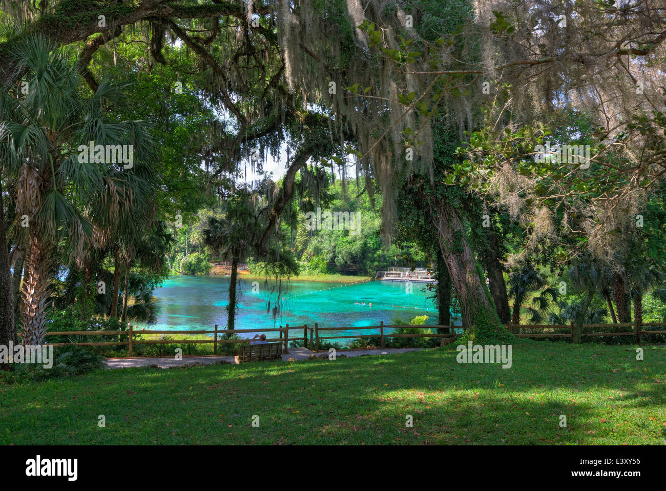Rainbow Springs State Park is the source of the Rainbow River in North ...