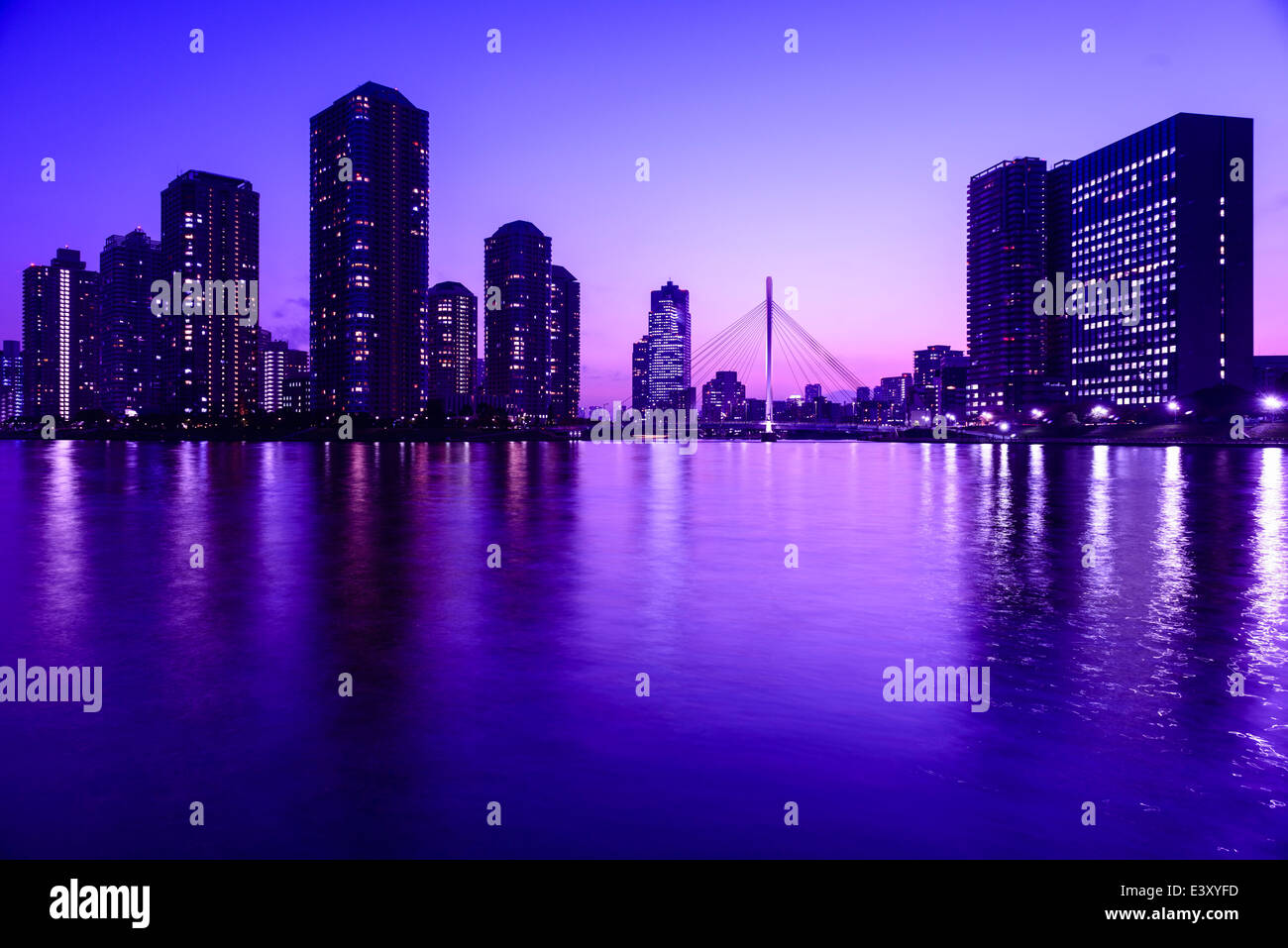 Silhouette of Tokyo skyline lit up at night, Koto, Tokyo, Japan Stock ...