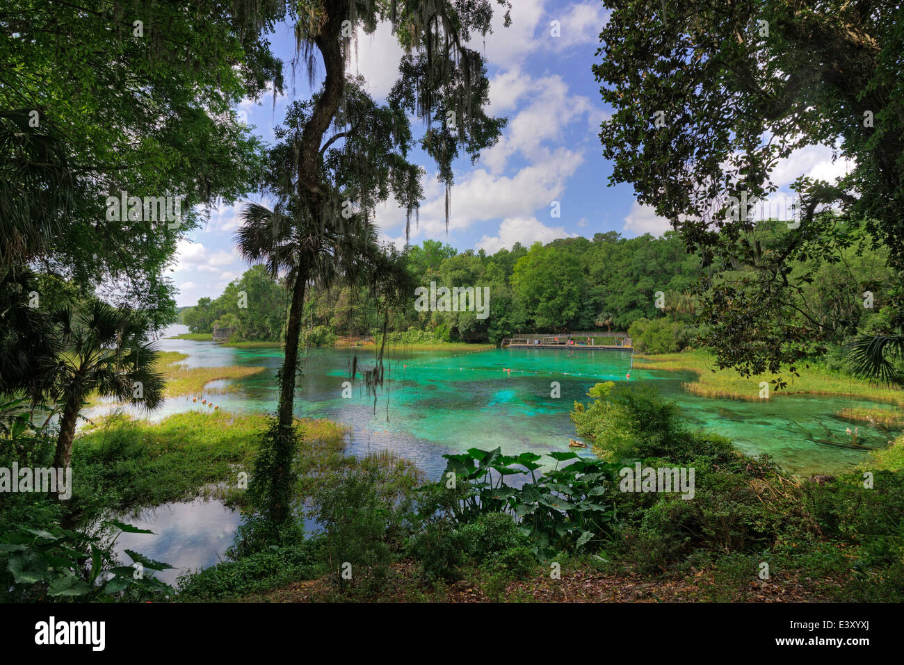 Rainbow River Florida High Resolution Stock Photography and Images - Alamy