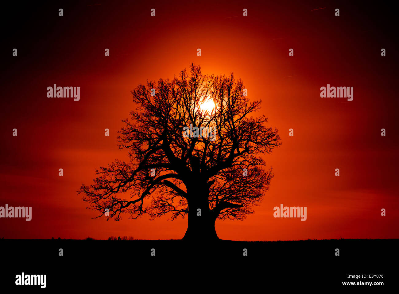 Backlighted scene hi-res stock photography and images - Alamy