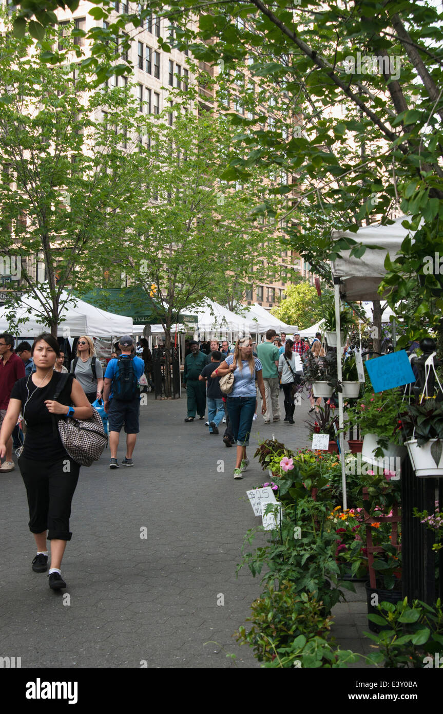 Walking in green plants market hi-res stock photography and images - Alamy