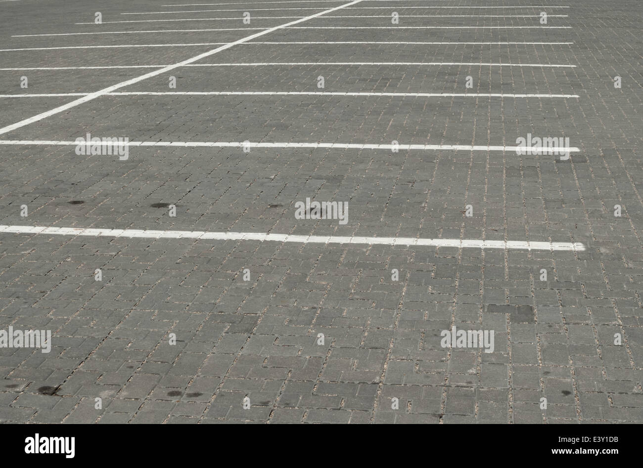 Series of empty parking spaces marked in white on gray surface Stock ...