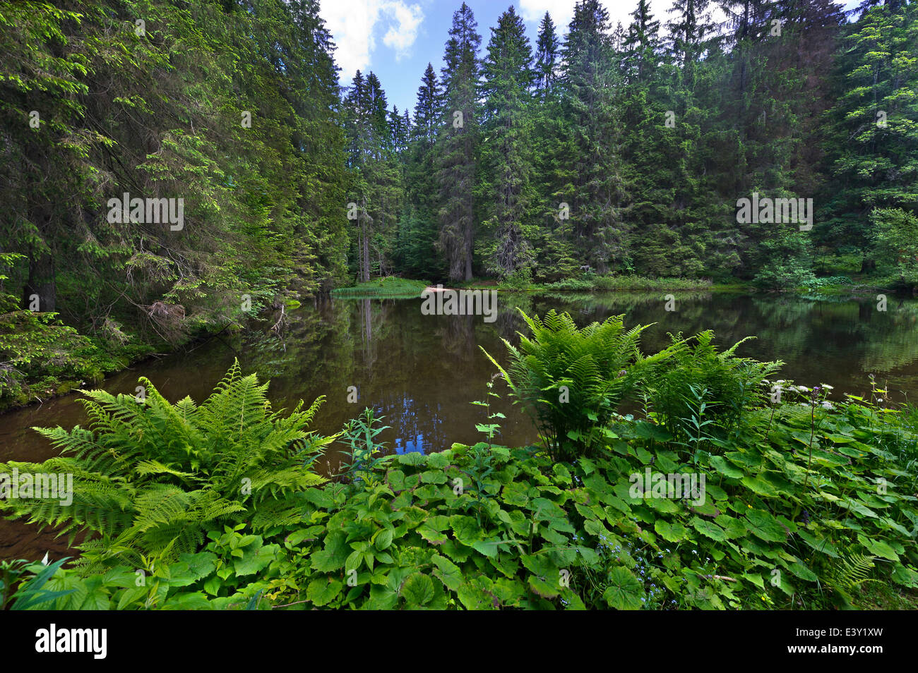 Germany, Falkenstein, Bayerischer Wald NP, Bavaria, mountain lake Stock ...