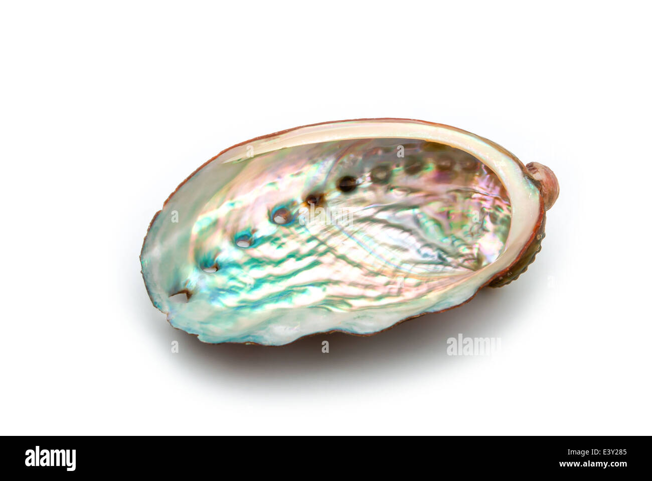 Abalone texture close up Cut Out Stock Images & Pictures - Alamy