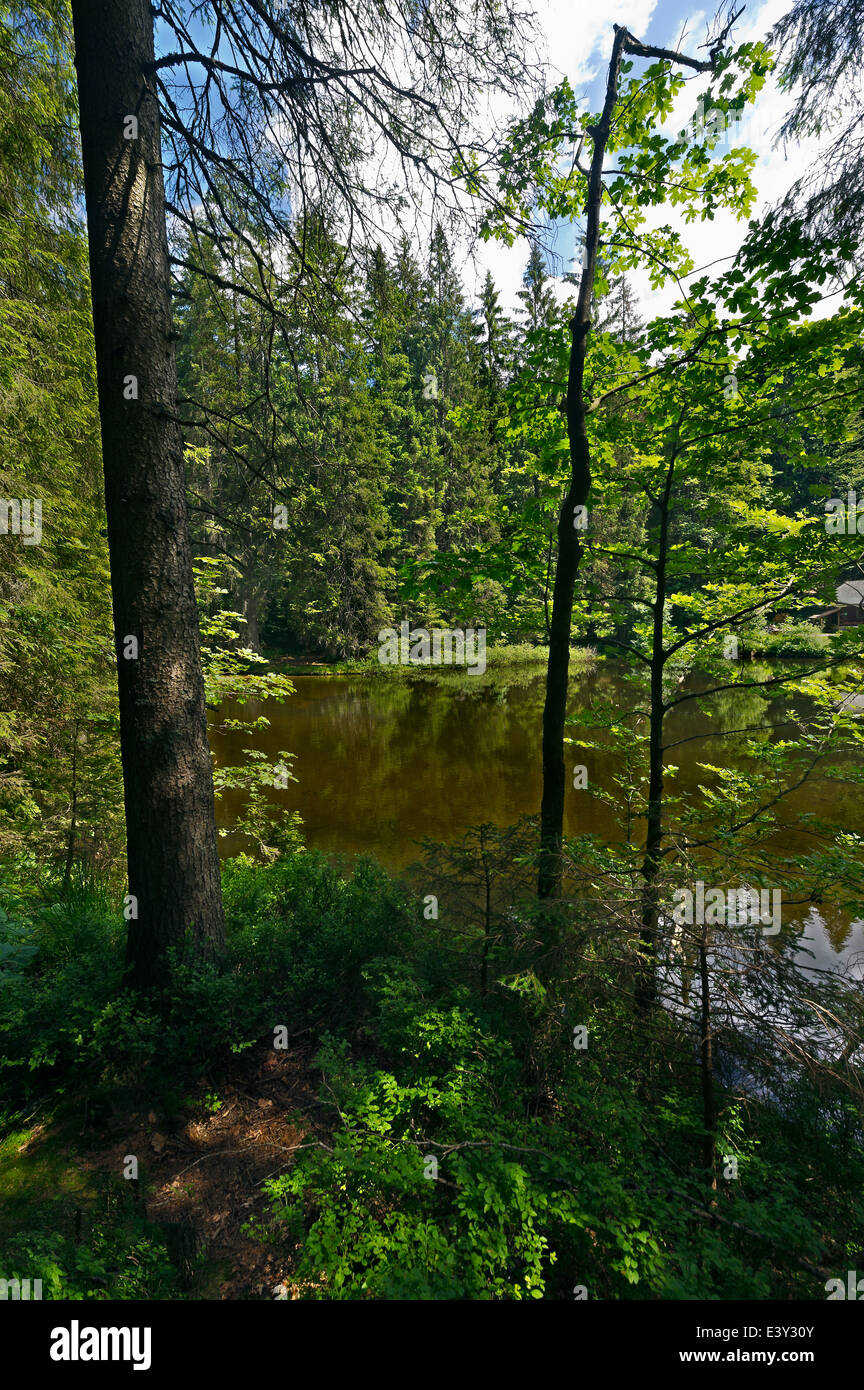 Germany Falkenstein, Bavaria, Bayerischer Wald NP, mountain lake Stock ...