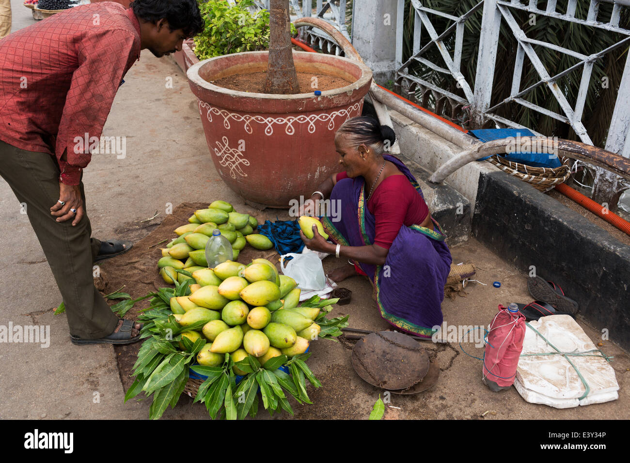 Indian woman mango vendor cutting mangos Stock Photo - Alamy
