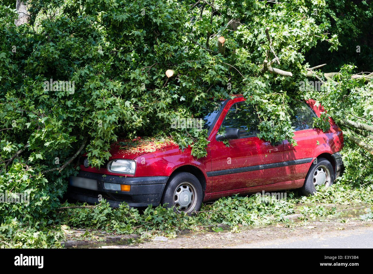 A fallen tree lay on a car in Herne, Ruhr area, Western Germany, after ...