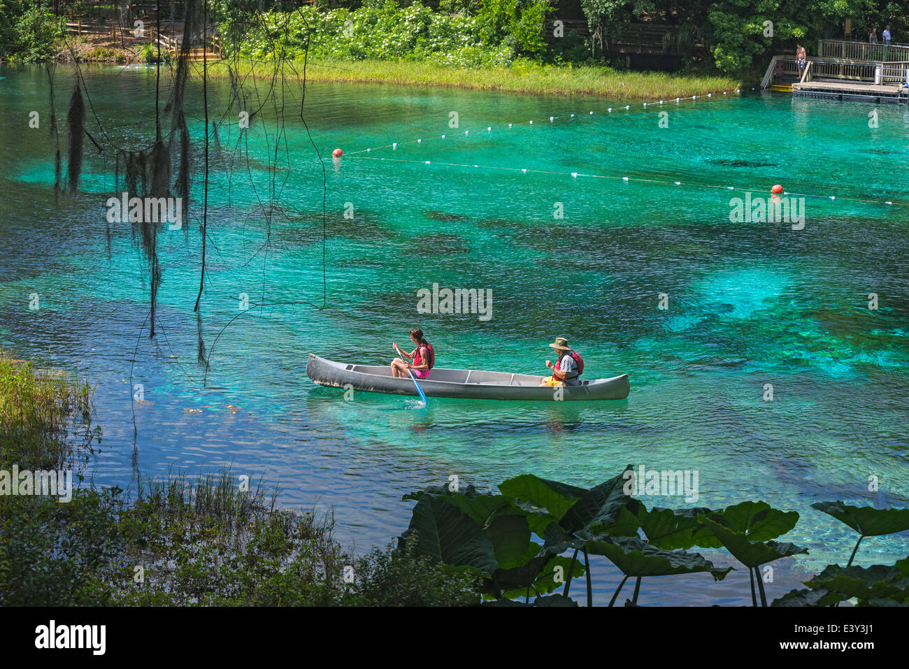 Rainbow Springs State Park is the source of the Rainbow River in North ...