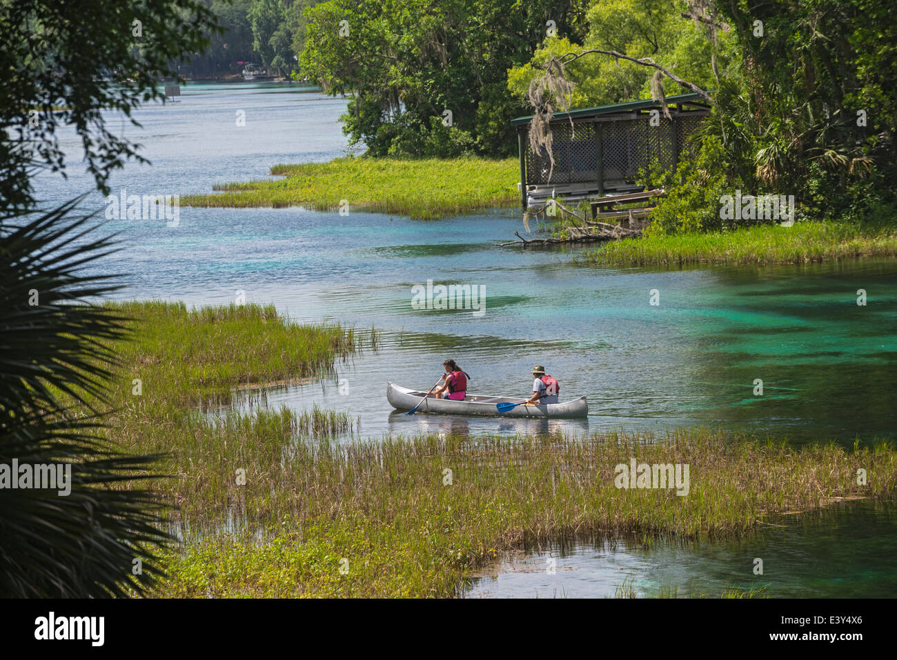 Rainbow Springs State Park is the source of the Rainbow River in North ...