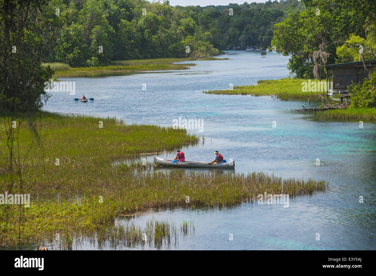 Rainbow Springs State Park is the source of the Rainbow River in North ...