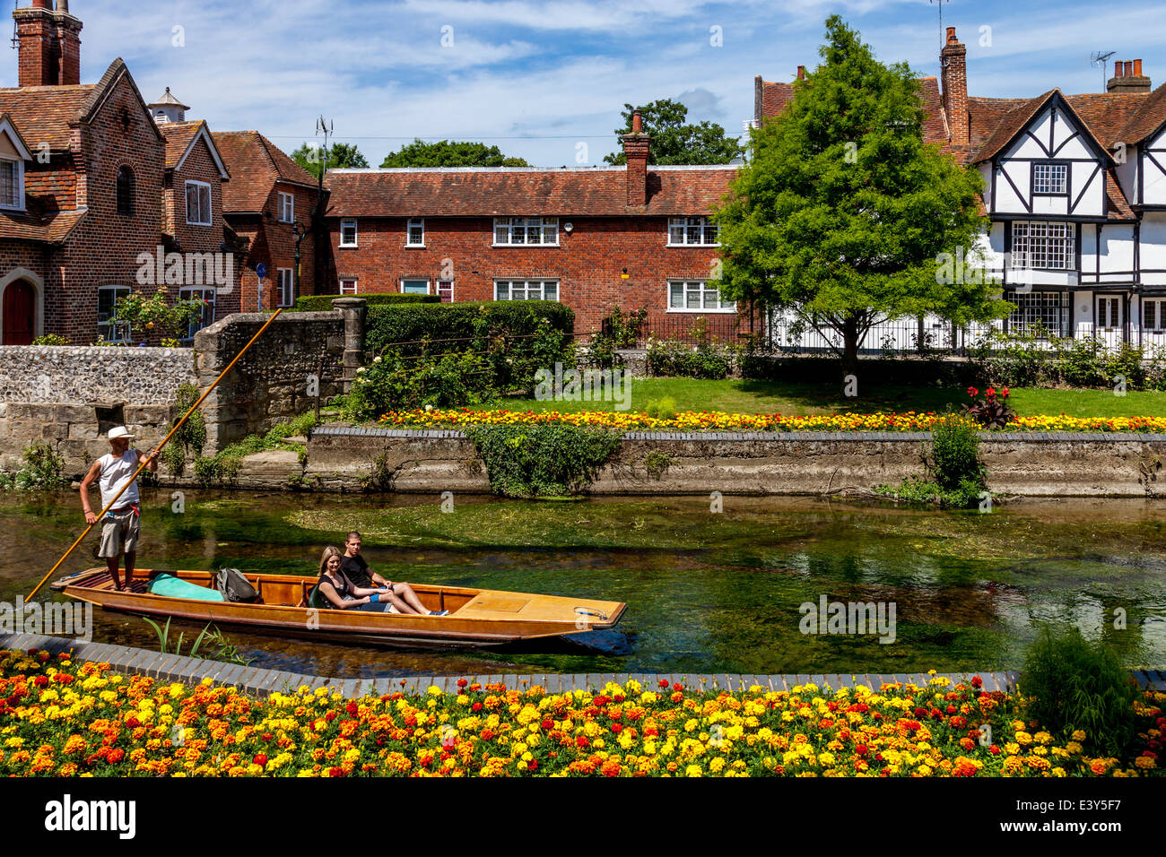 Punting on the River Stour, Canterbury, Kent, UK Stock Photo - Alamy