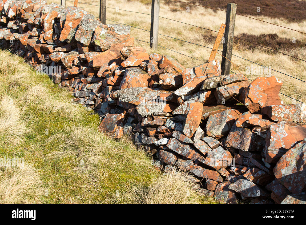 Red felsite hi-res stock photography and images - Alamy