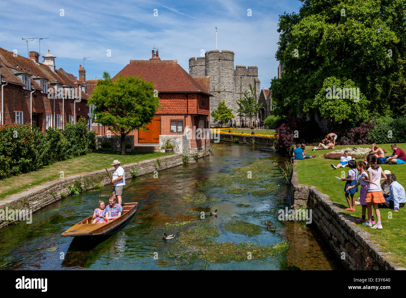 Punting on the River Stour, Canterbury, Kent, UK Stock Photo - Alamy