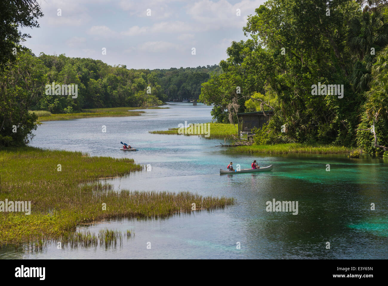 Rainbow Springs State Park is the source of the Rainbow River in North ...