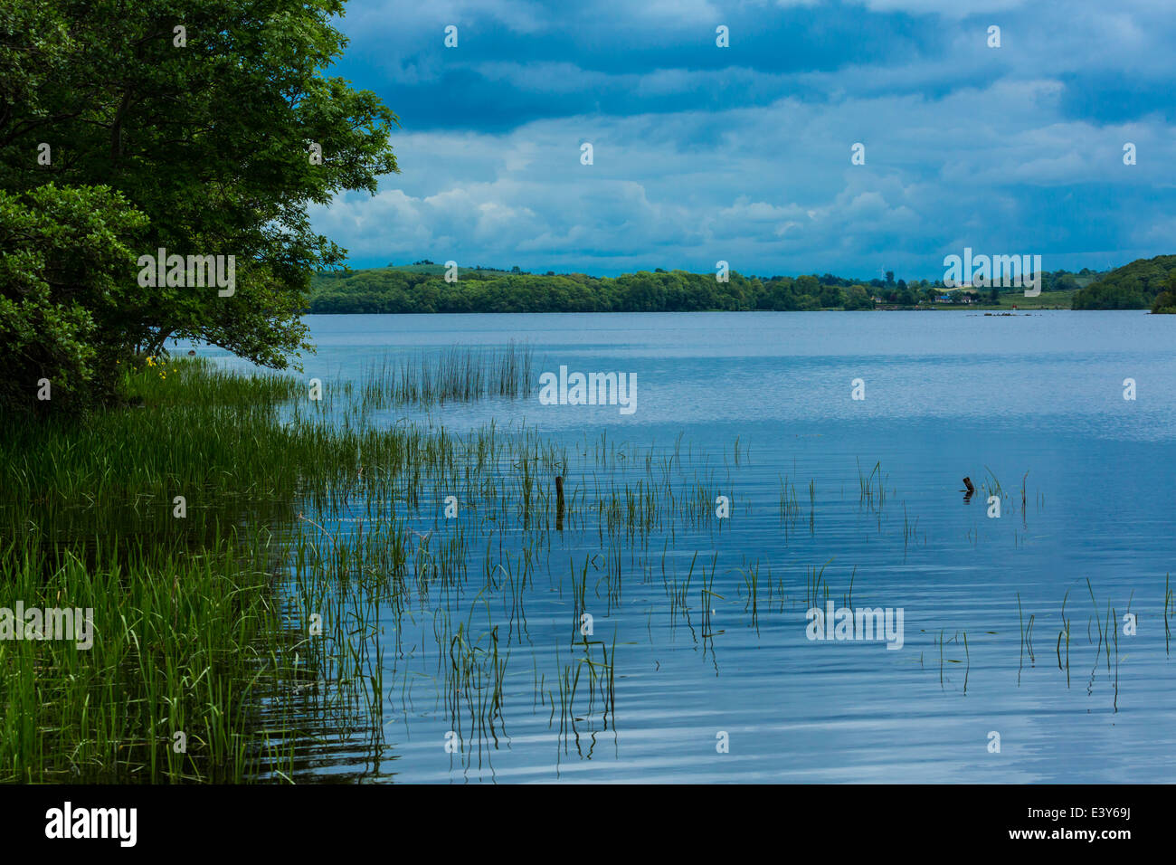 A View of Lower Lough Erne from Blaney East off the Lough Shore Rd ...