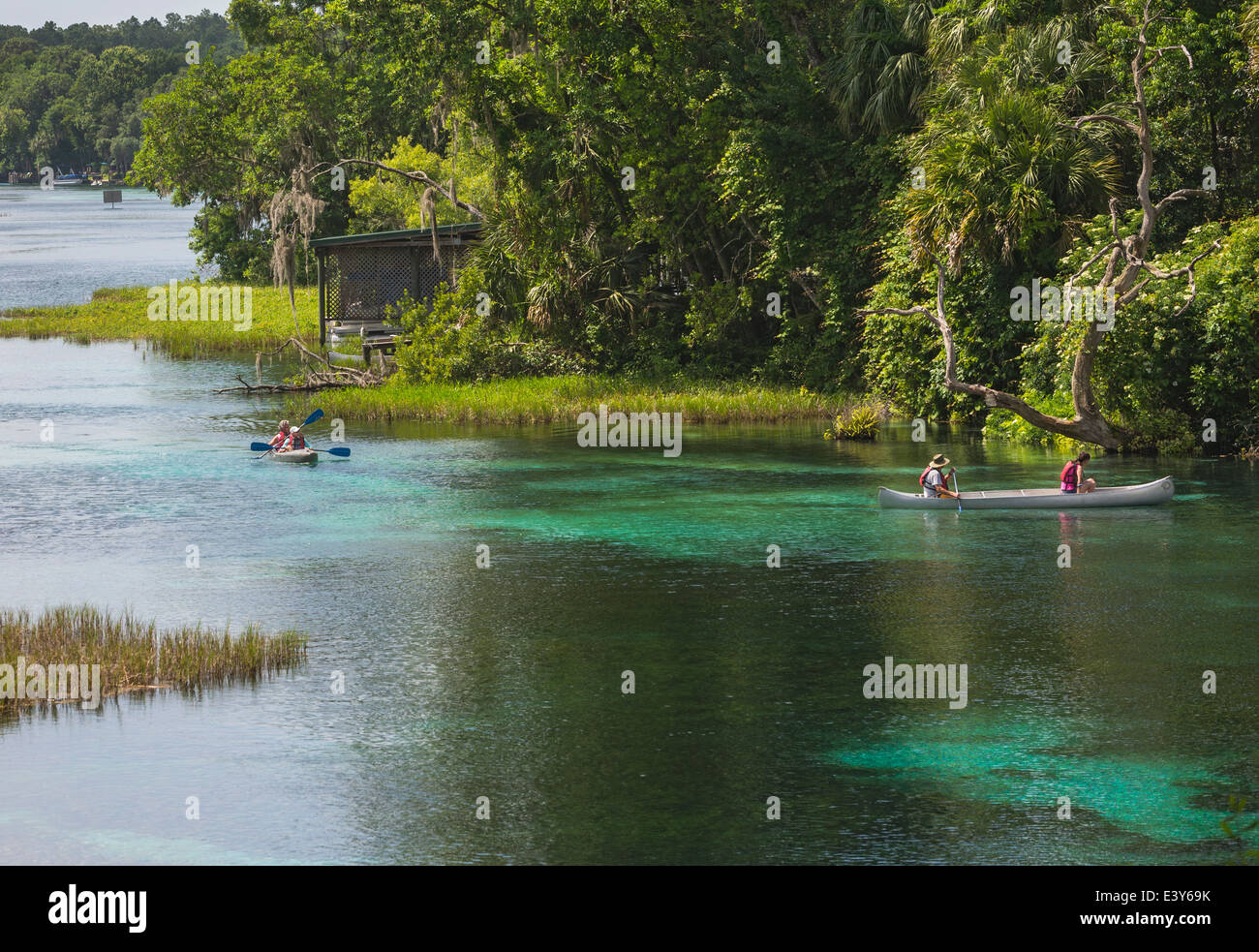 Rainbow Springs State Park is the source of the Rainbow River in North ...