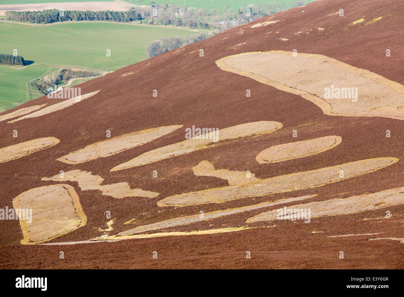 Heather burning pattern hi-res stock photography and images - Alamy