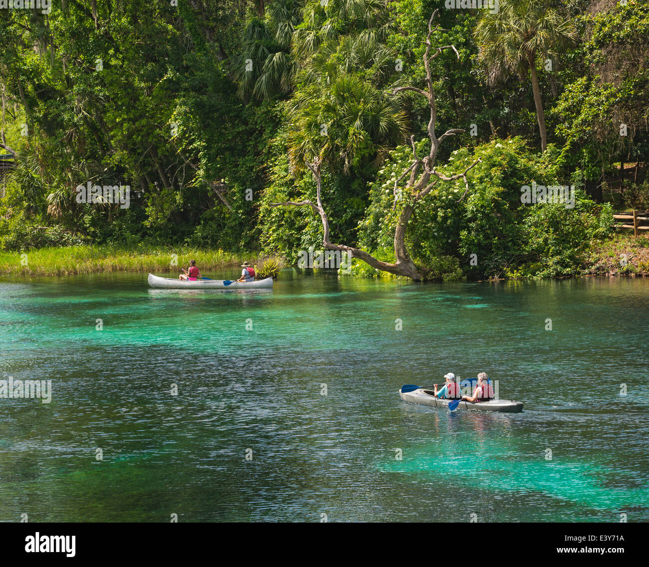 Rainbow Springs State Park is the source of the Rainbow River in North ...