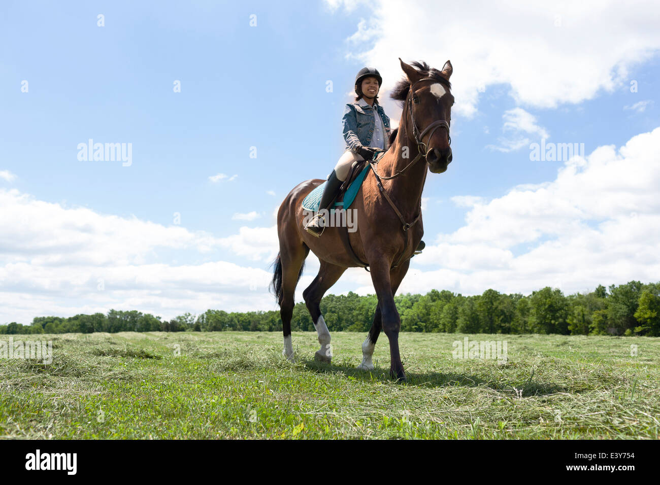 Horse rider on horse Stock Photo - Alamy