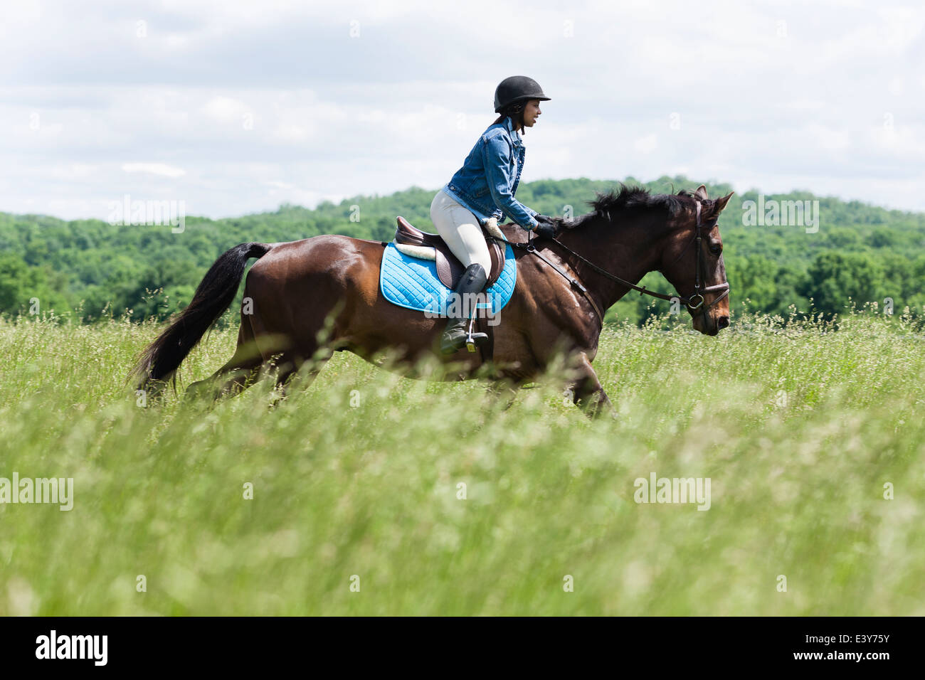 Horse rider on horse Stock Photo - Alamy