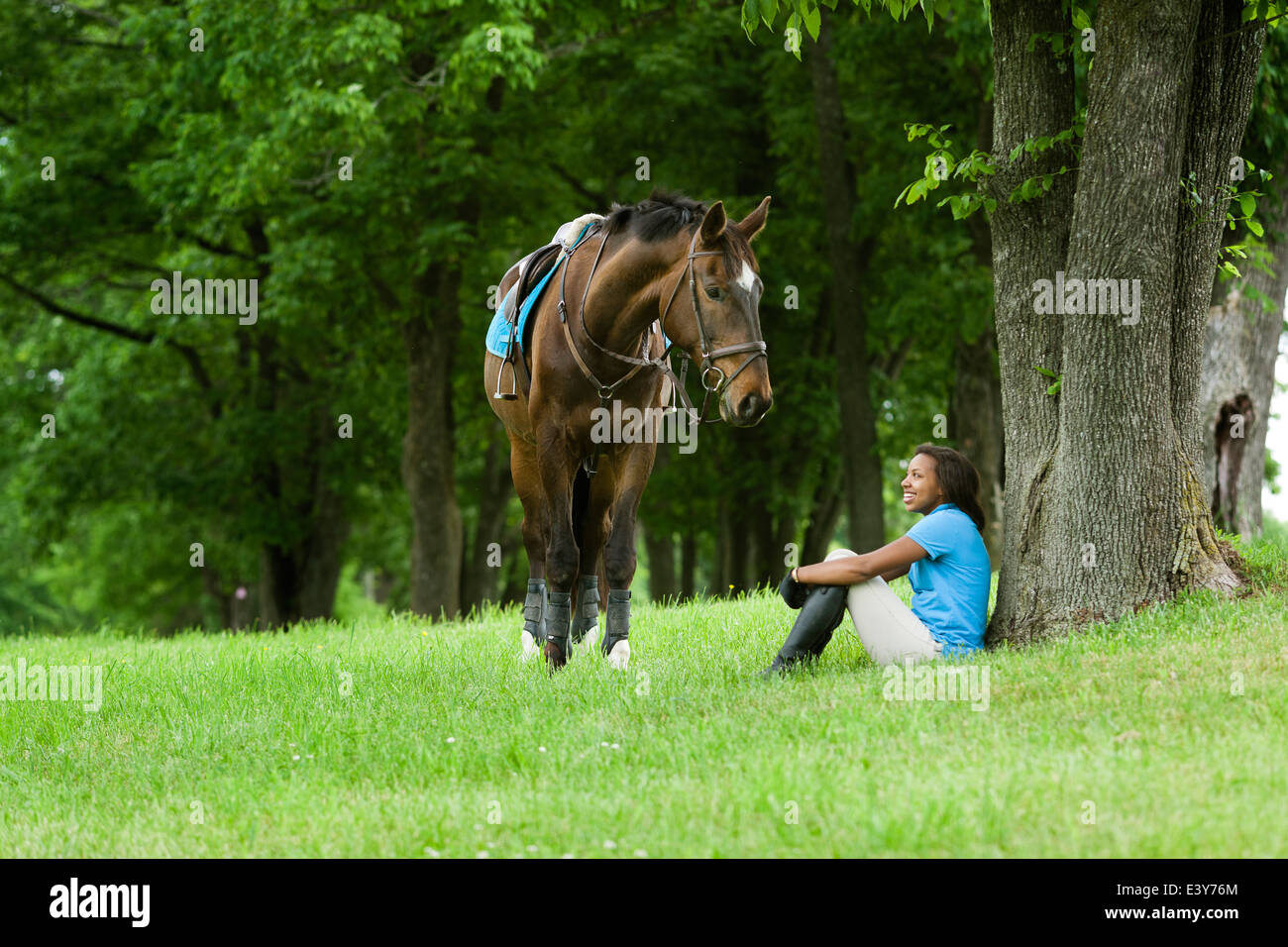 Horse rider sitting beside tree, horse beside Stock Photo - Alamy