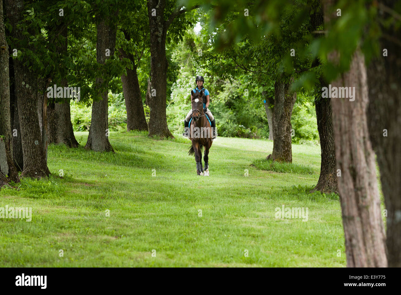 Young woman riding horse through forest Stock Photo - Alamy