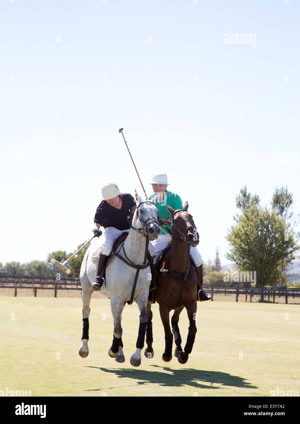 Two adult men playing polo hi-res stock photography and images - Alamy