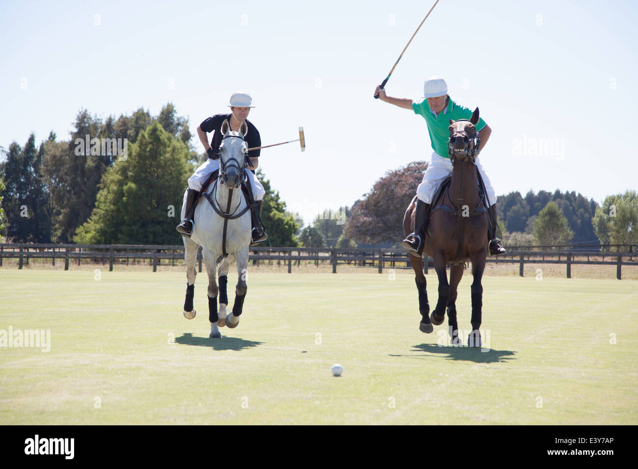 Polo hi-res stock photography and images - Alamy