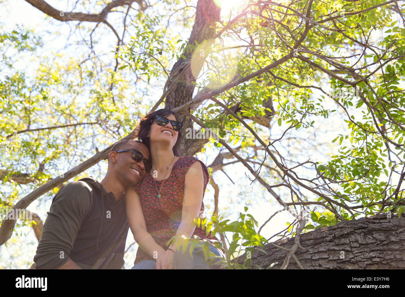 Romantic young couple gazing from tree Stock Photo - Alamy