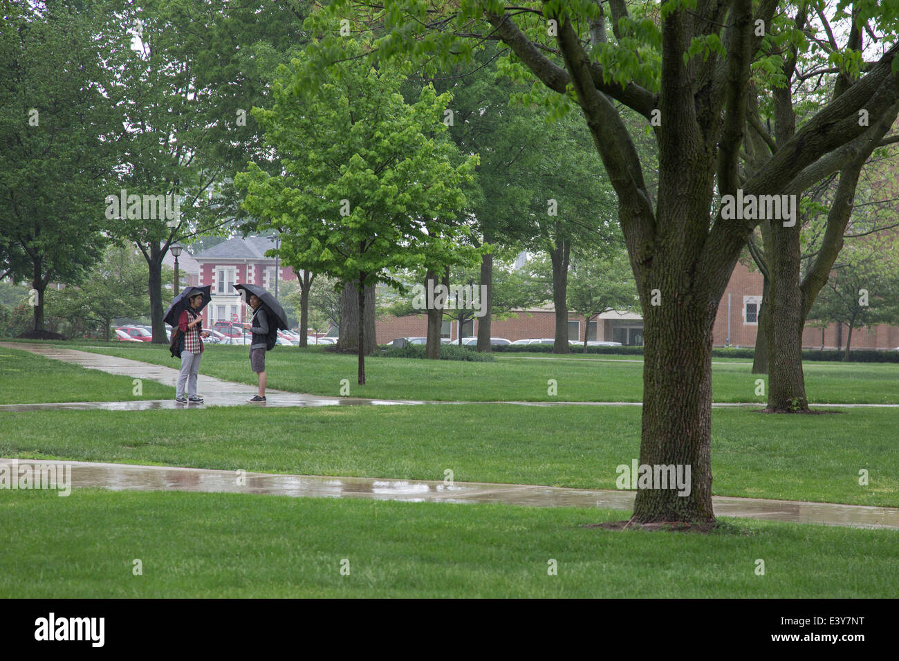 Campus conversation talk rain hi-res stock photography and images - Alamy