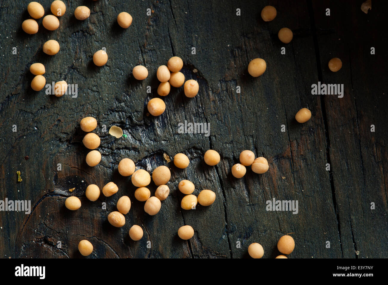 Raw Organic Mustard Seeds in a Spoon Stock Photo - Alamy