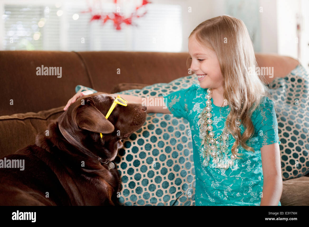 Labrador wearing sunglasses hi-res stock photography and images - Alamy