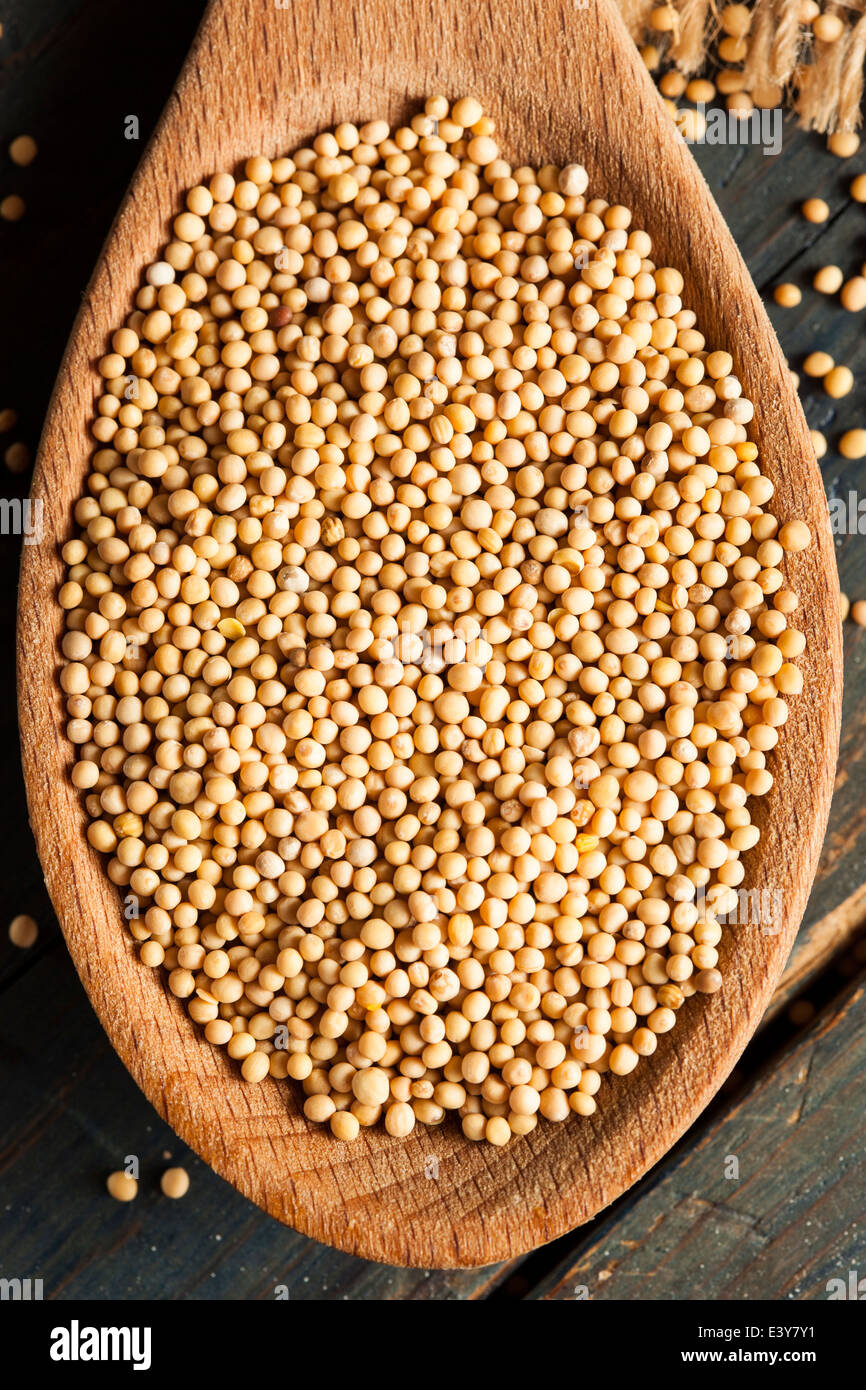 Grain of mustard seed hi-res stock photography and images - Alamy