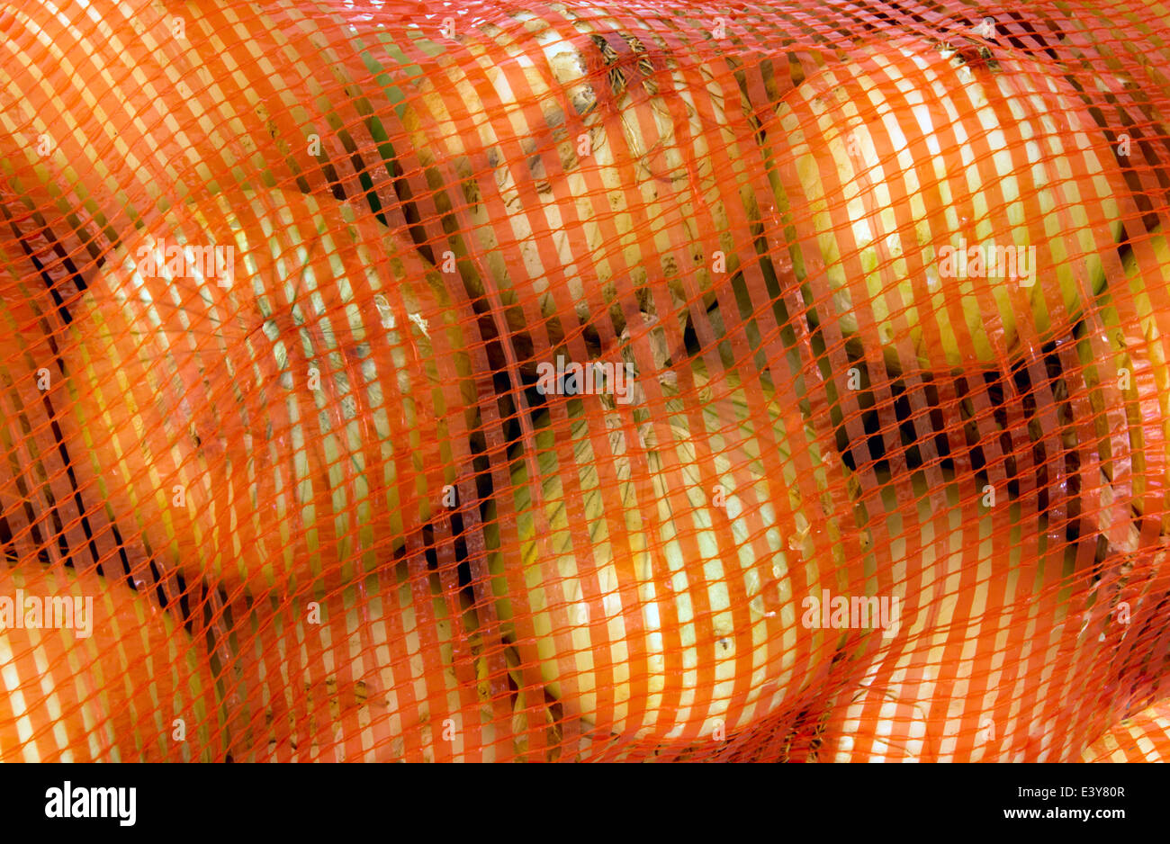 onions stored in a woven plastic orange sack Stock Photo - Alamy