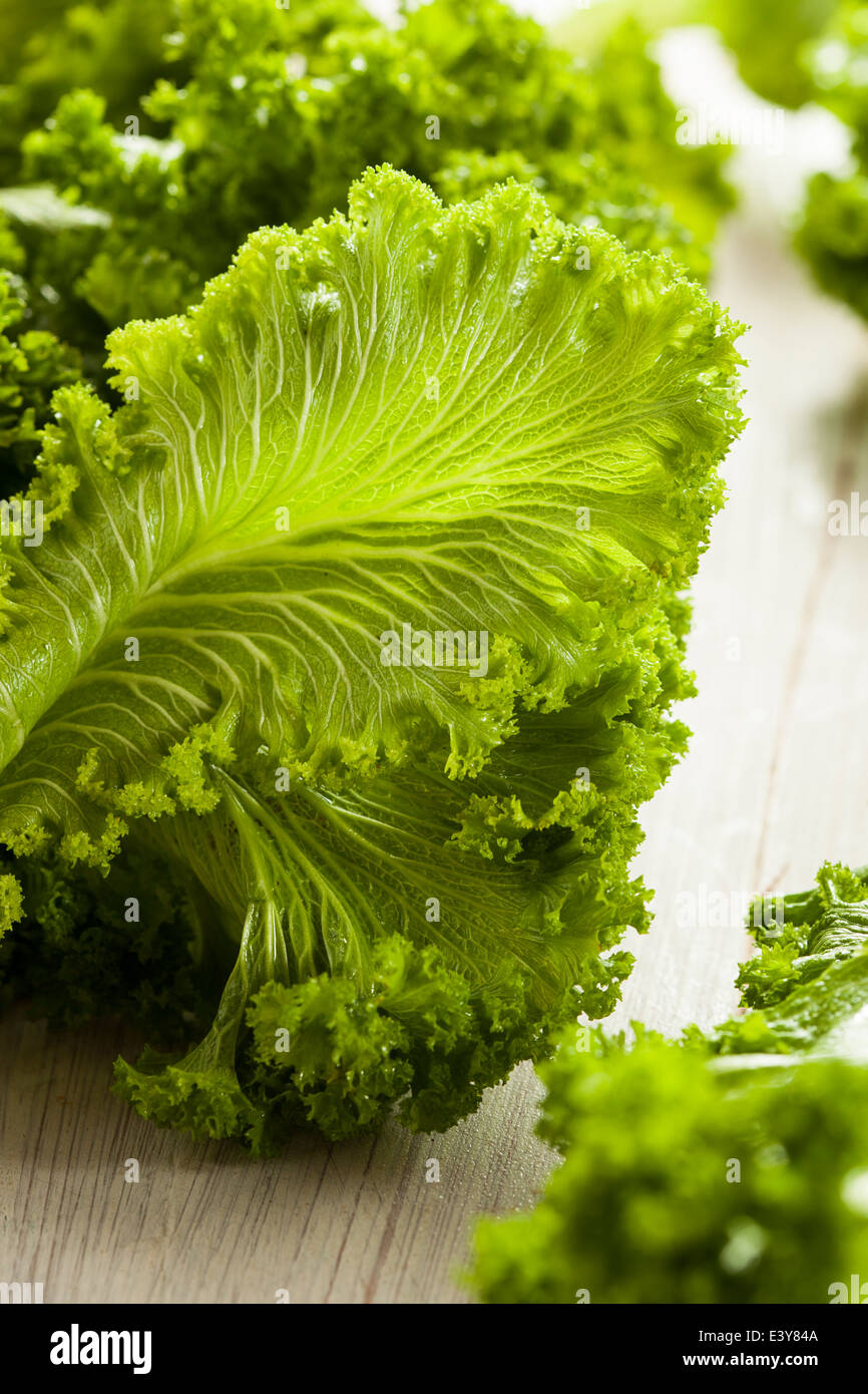 Organic Raw Mustard Greens on a Background Stock Photo - Alamy